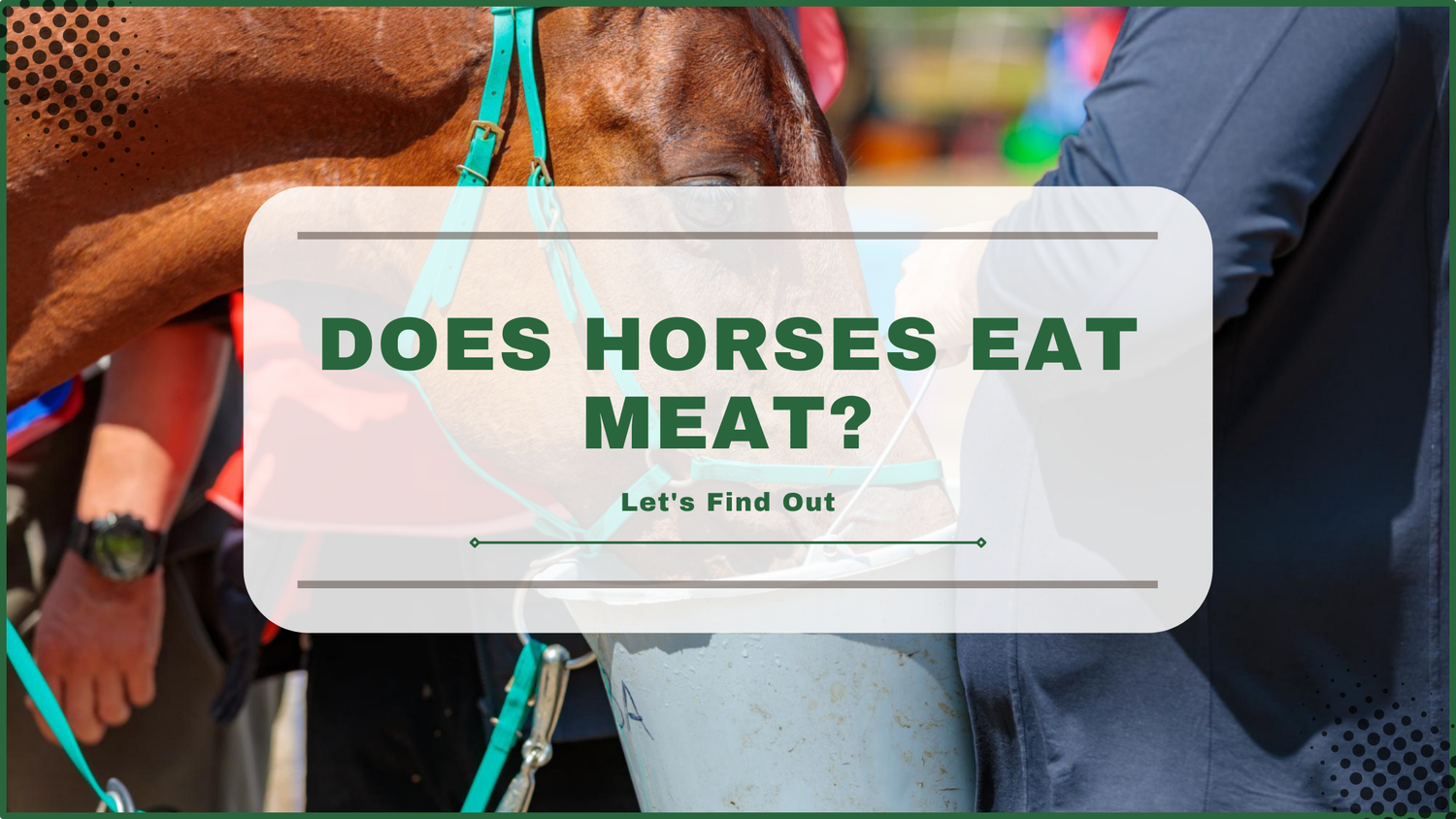 Do Horses Eat Meat? Exploring Equine Dietary Habits – The Epic Animal