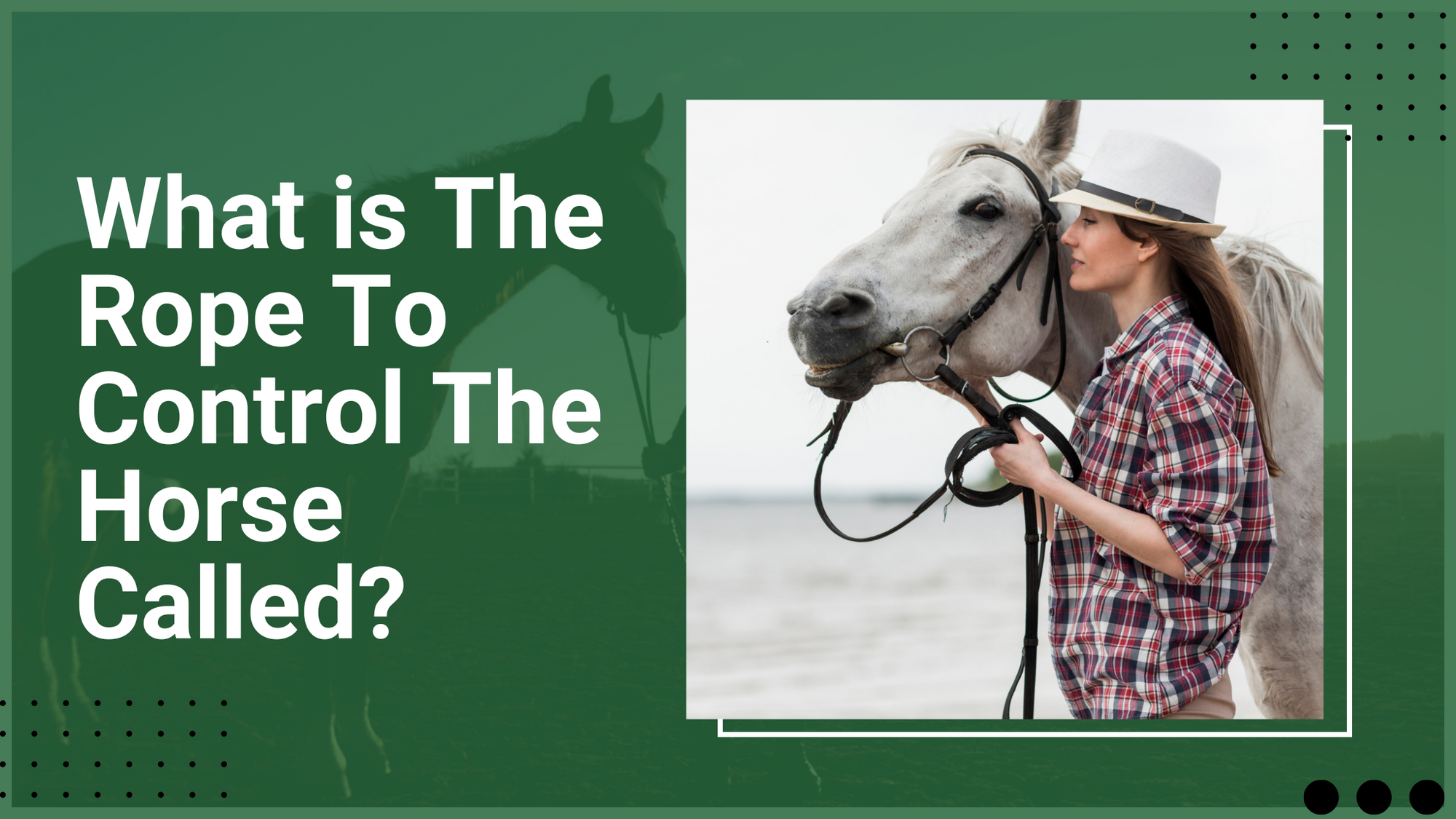 What is The Rope To Control The Horse Called? A Comprehensive Guide